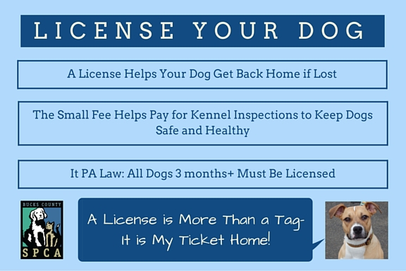 Dog Licensing - Bucks County SPCA