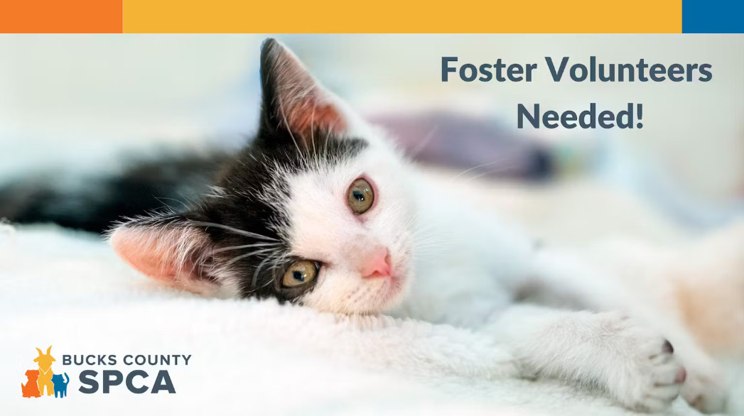 Archives: Events - Bucks County SPCA