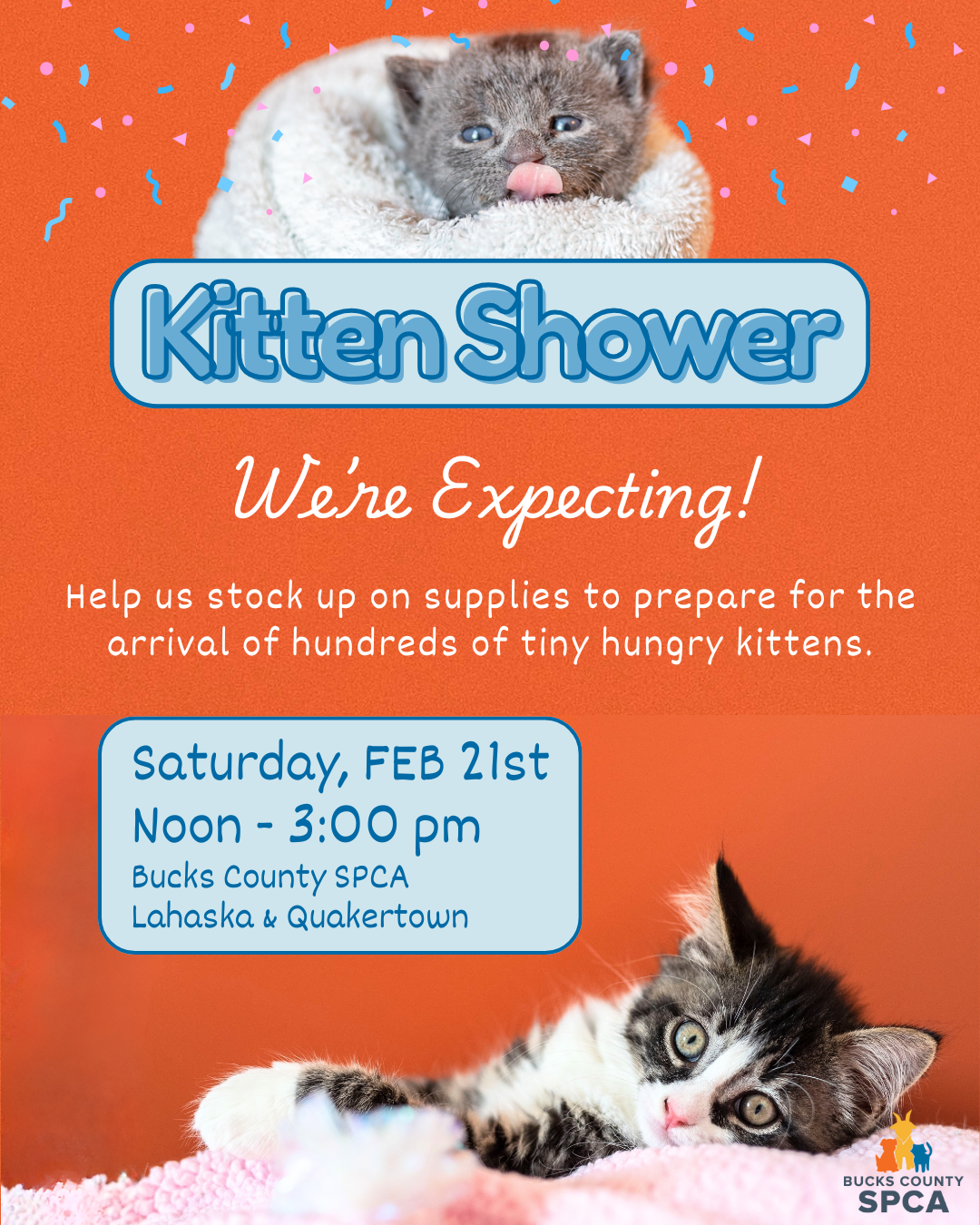 Kitten Shower 2026 - Bucks County SPCA
