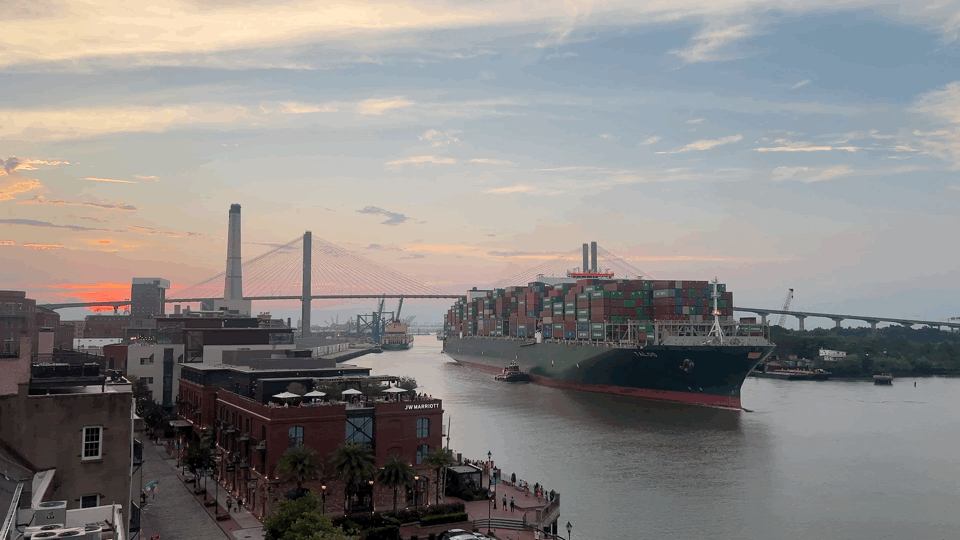 What is Annex II? - Everchem Specialty Chemicals